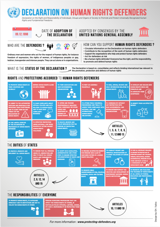 Declaration +25: Articulating international standards to protect the ...