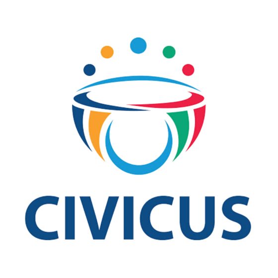 Declaration +25: Articulating international standards to protect the ...