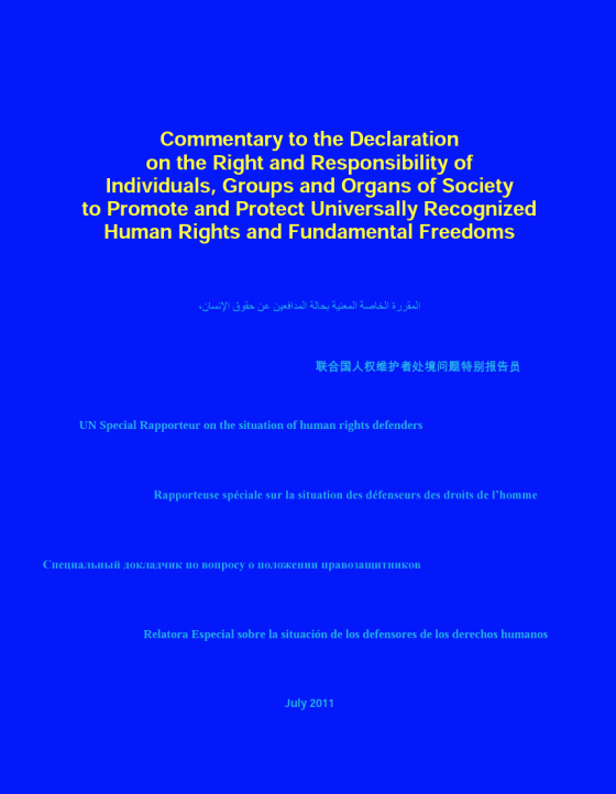 Declaration +25: Articulating international standards to protect the ...