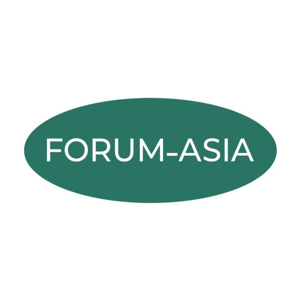 Declaration +25: Articulating international standards to protect the ...