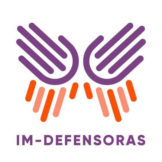 Declaration +25: Articulating international standards to protect the ...