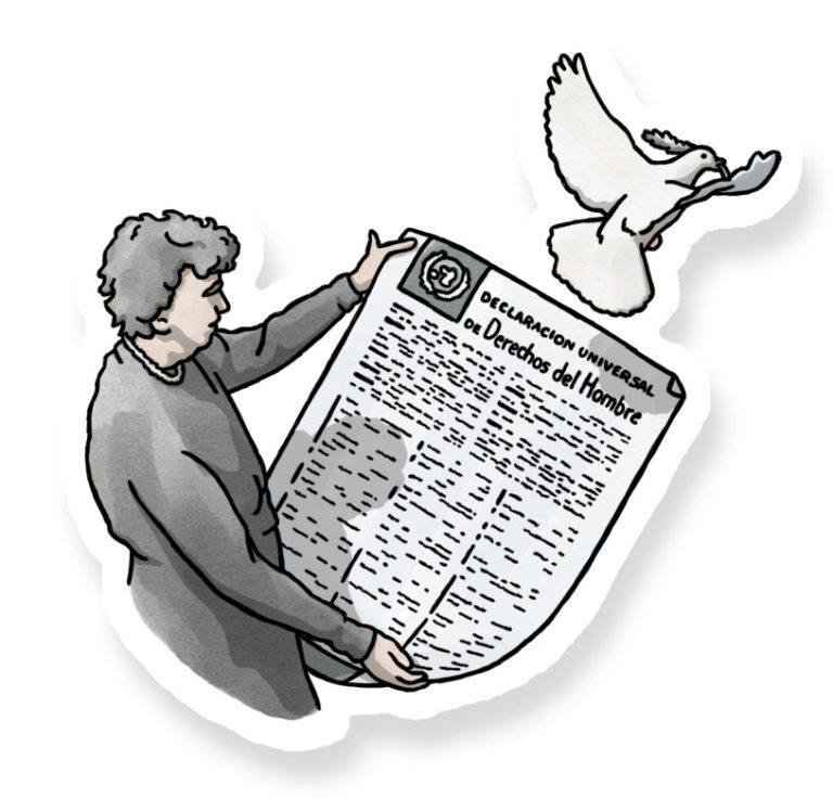 Declaration +25: Articulating international standards to protect the ...