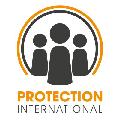 Declaration +25: Articulating international standards to protect the ...